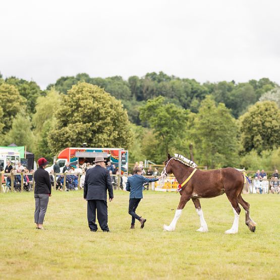 Bakewell Country Festival