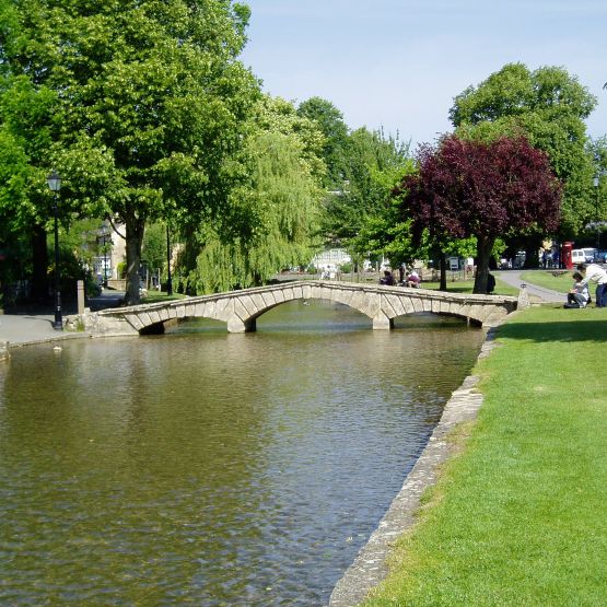 Snowdrops at Colesbourne Park