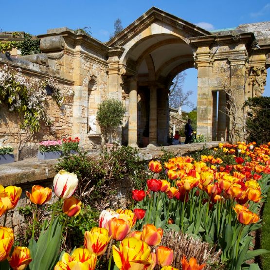 Hever Castle & Garden Tulip Festival