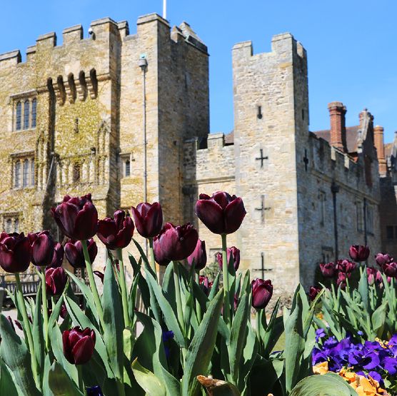 Hever Castle & Garden Tulip Festival