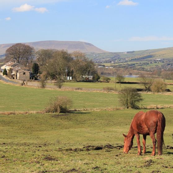 Pendle Witch Country