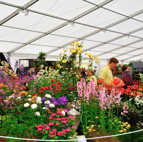 Southport Flower Show